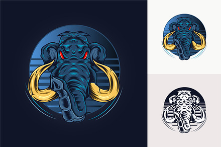 Tiger fish logo, a Branding & Logo Template by agora