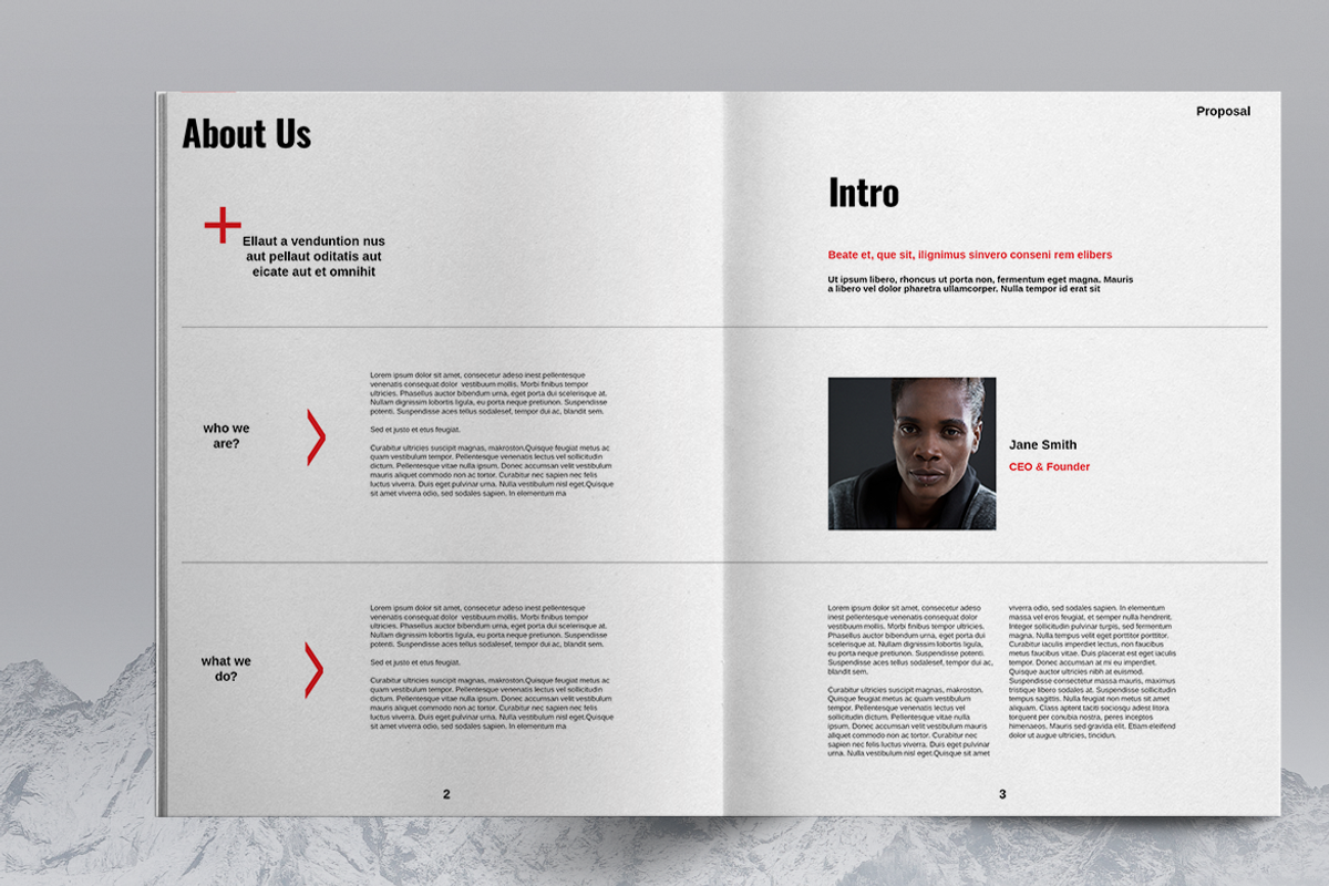 Business Project Proposal Brochure Template | Creative Market