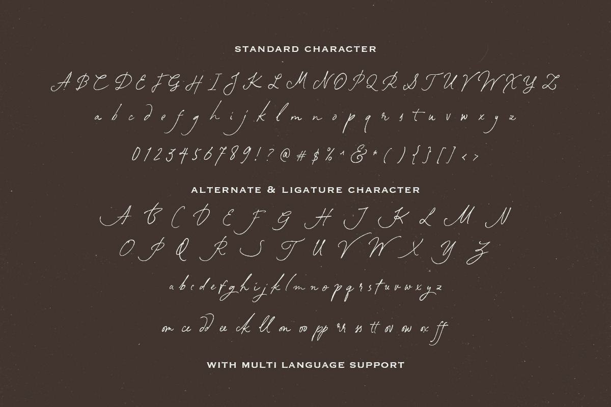 South Assign - Vintage Inspired Font, a Script Font by Sarid Ezra