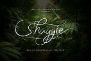 Shaggie, a Script Font by Incools