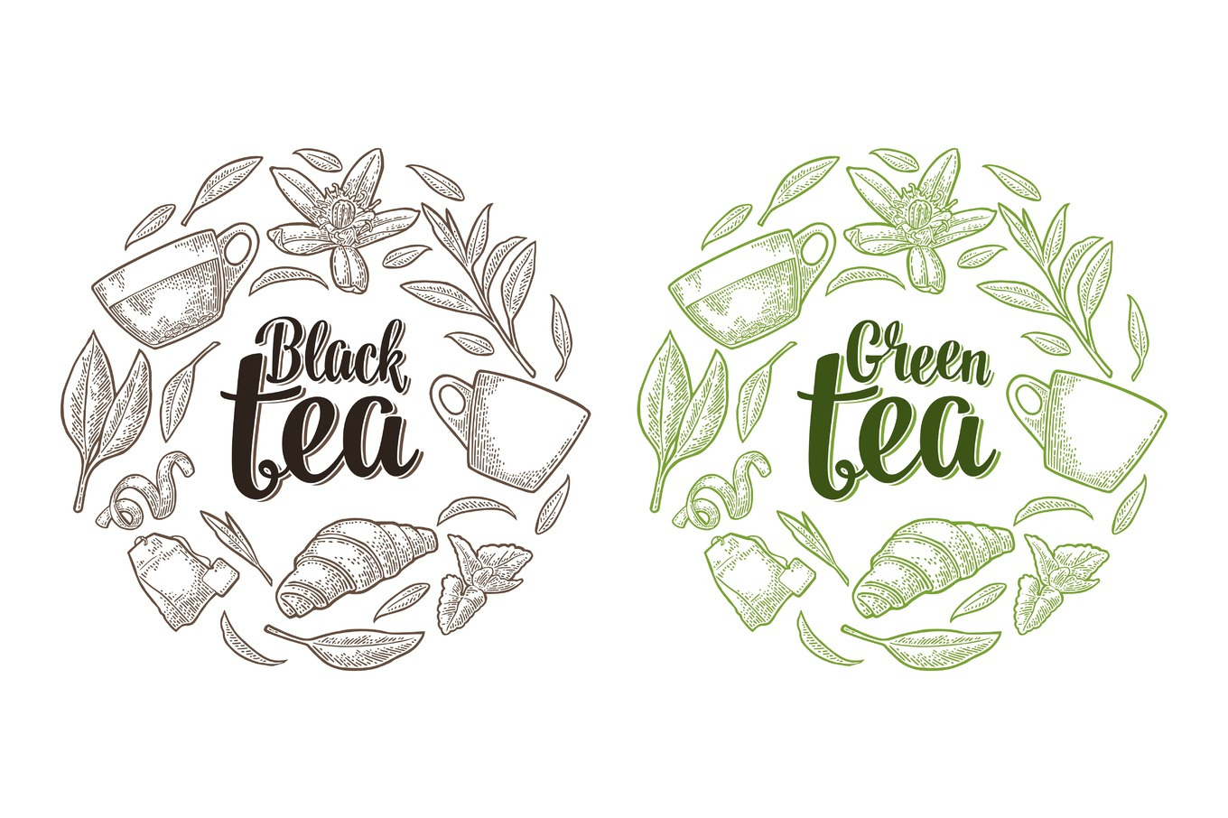 Set with lettering Black Green Tea. Vector vintage engraving, a Food ...