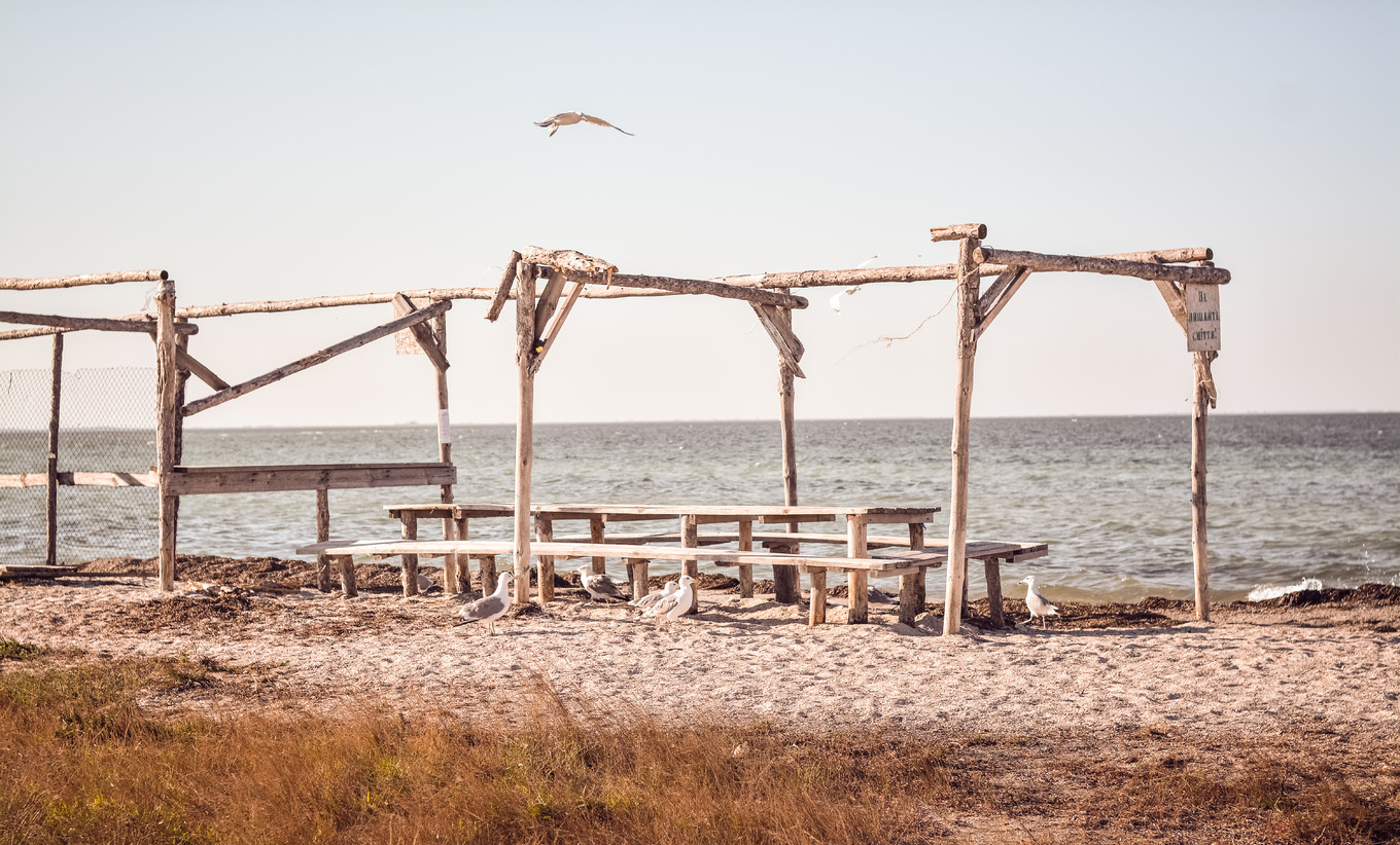 Sea Smell, a Nature Photo by Pro.Motion