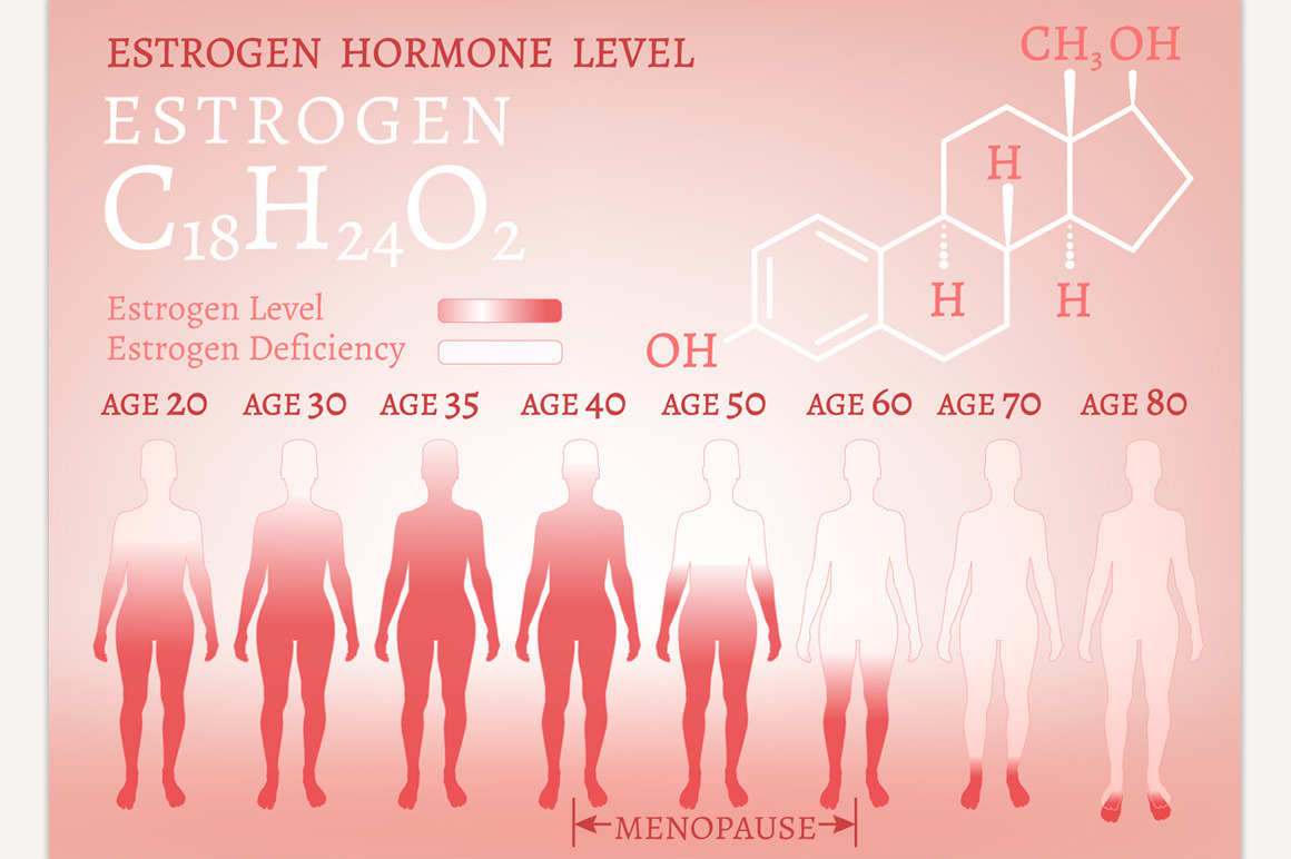 Estrogen Hormone level, an Education Illustration by Anna's Shop