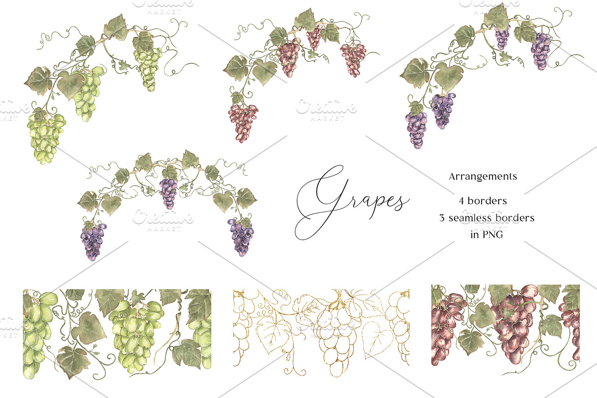 Watercolor Grapes Collection, a Decorative Illustration by MayaNavits