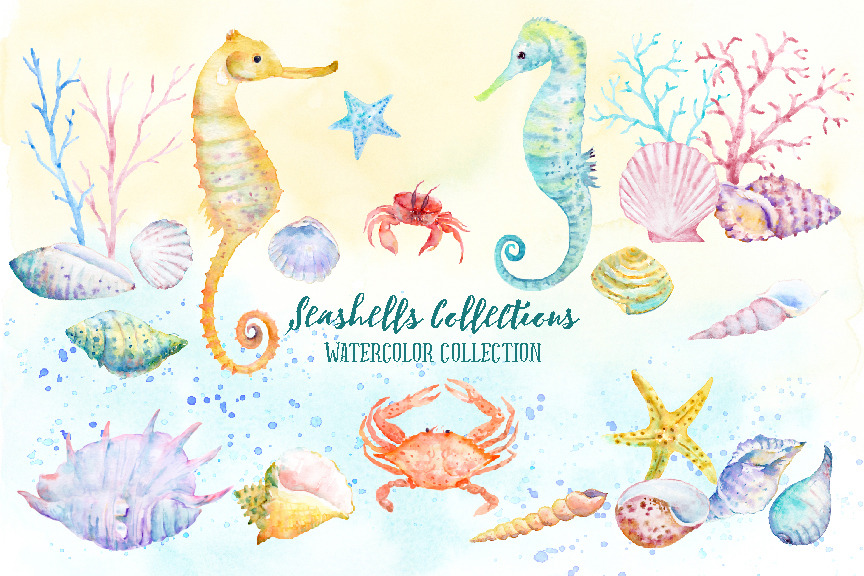 Watercolor Seashell Collection, an Illustration by Corner Croft