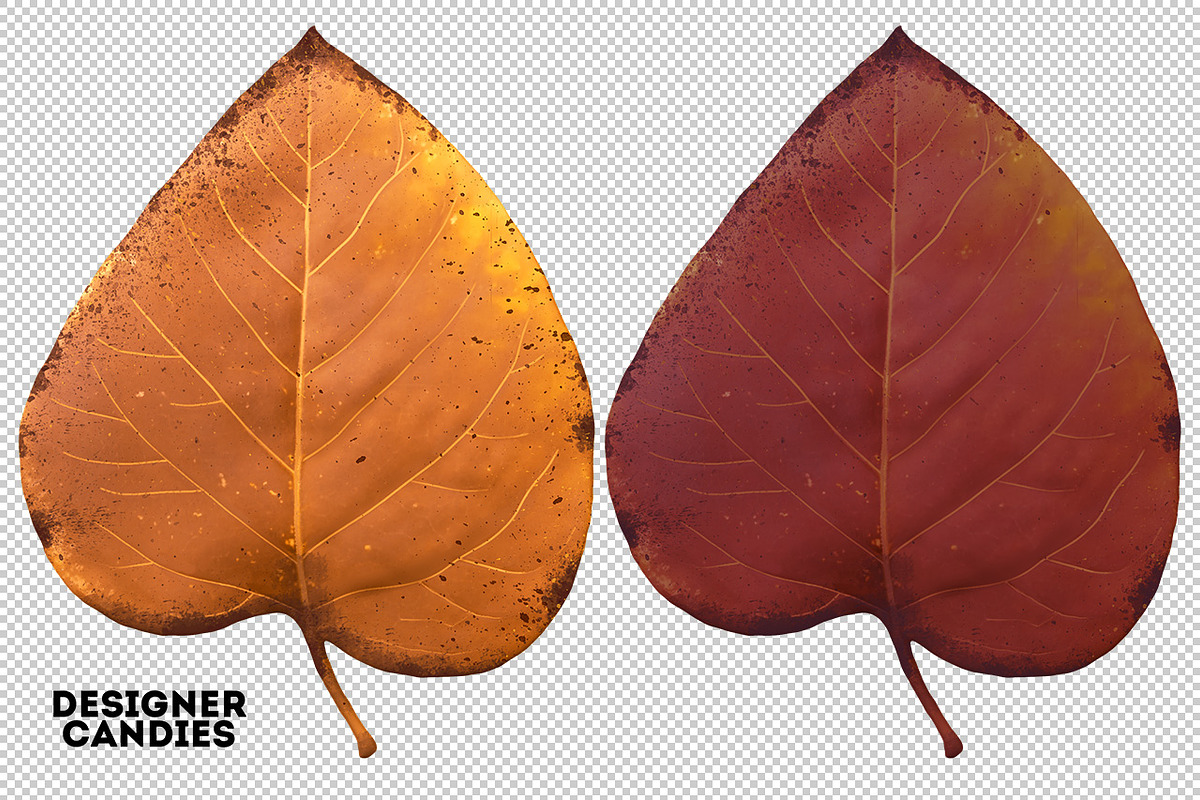 Autumn Leaves, an Object Graphic by DesignerCandies