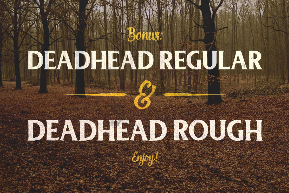 Deadhead Script, a Script Font by Twicolabs Fontdation