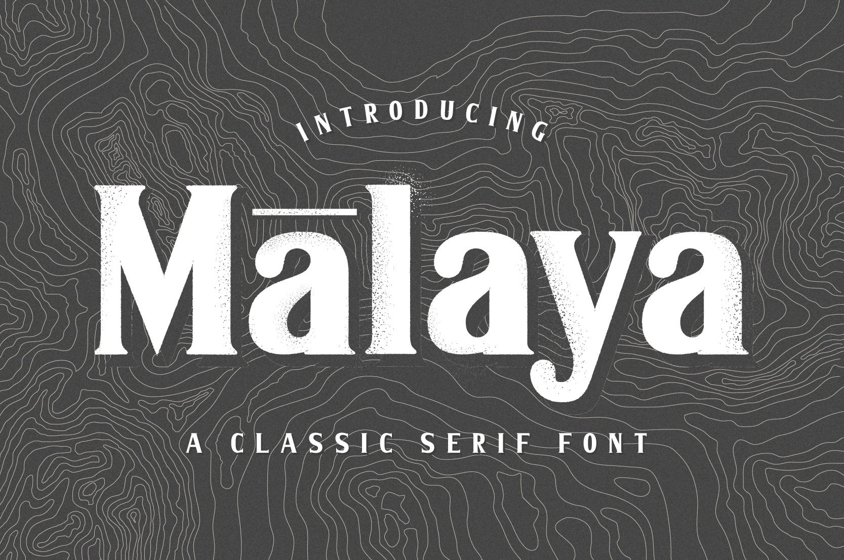 Malaya - A Classic Serif Font, a Serif Font by Wilsonkjc