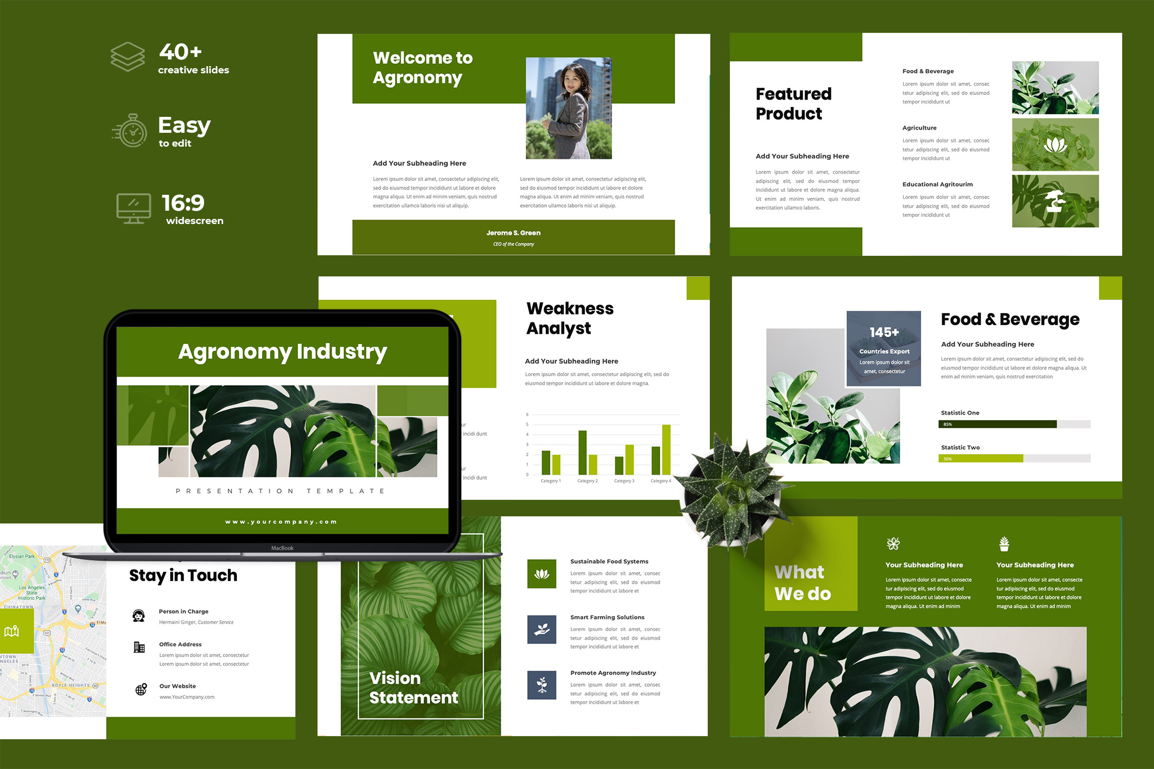 Botanical Powerpoint Template, a Presentation Template by TMint Creative
