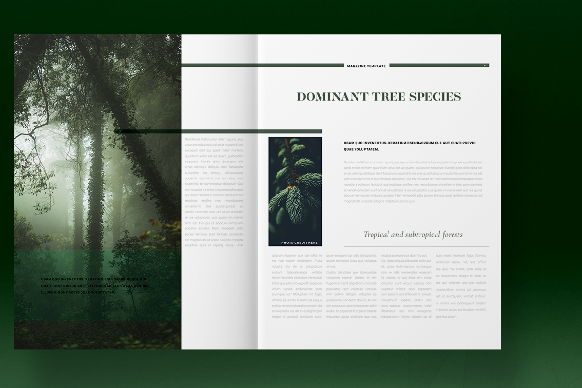 Green Natural Magazine Template, a Magazine Template by Boris Cupac