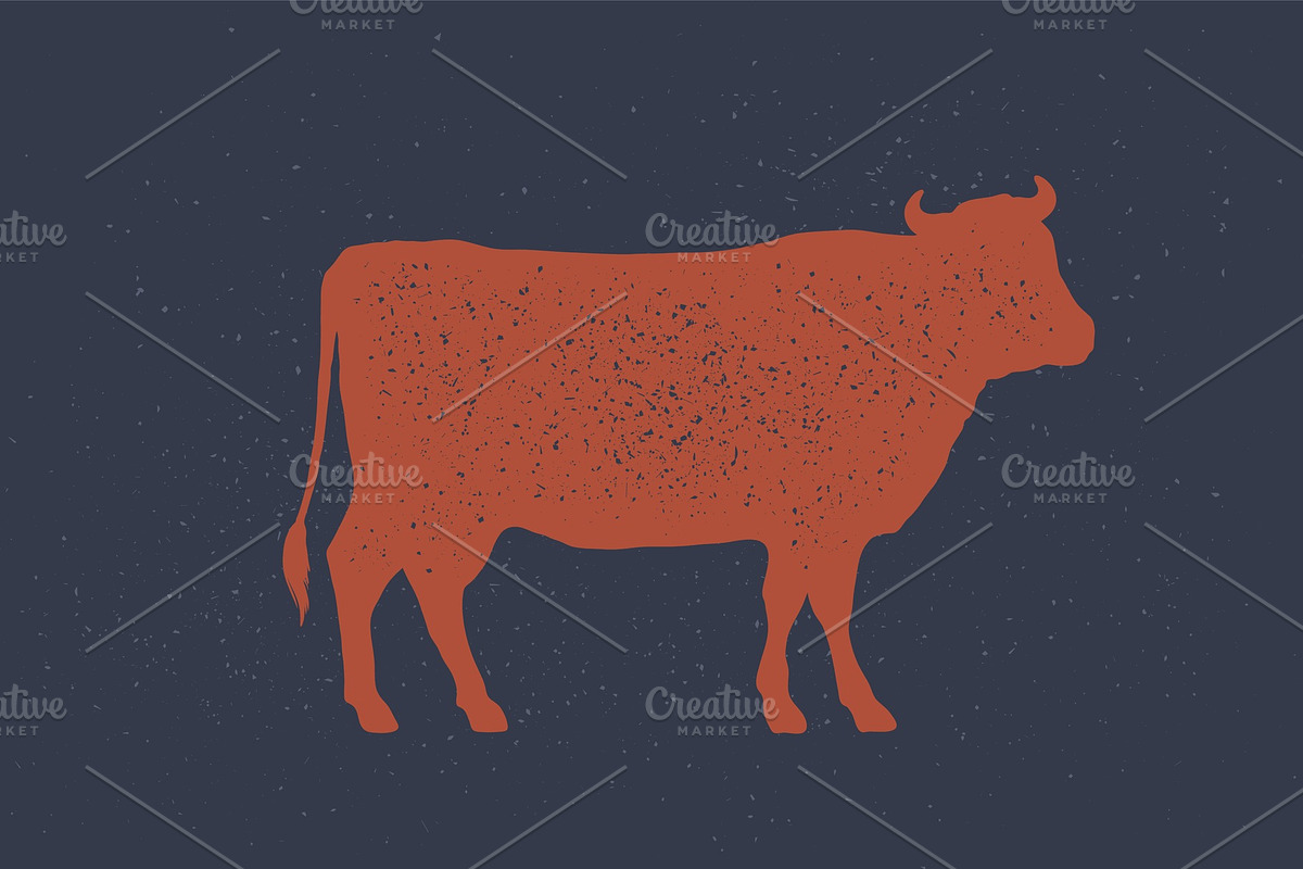 Beef, cow. Poster for Butchery meat, an Animal Illustration by Foxys ...