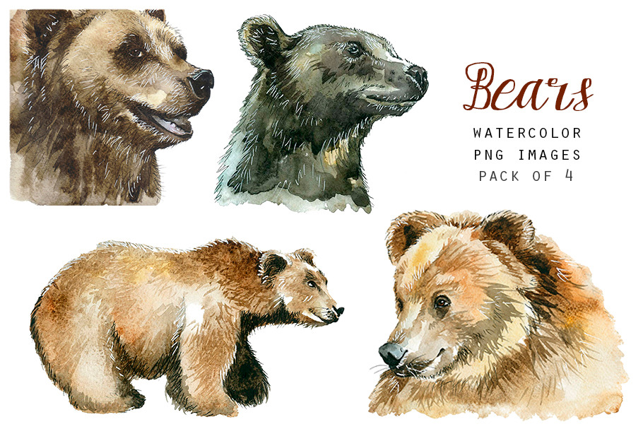 Watercolor bears clipart, an Animal Illustration by YesFoxy