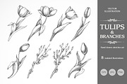 Hand drawn spring flowers set, an Illustration by Color and Decor