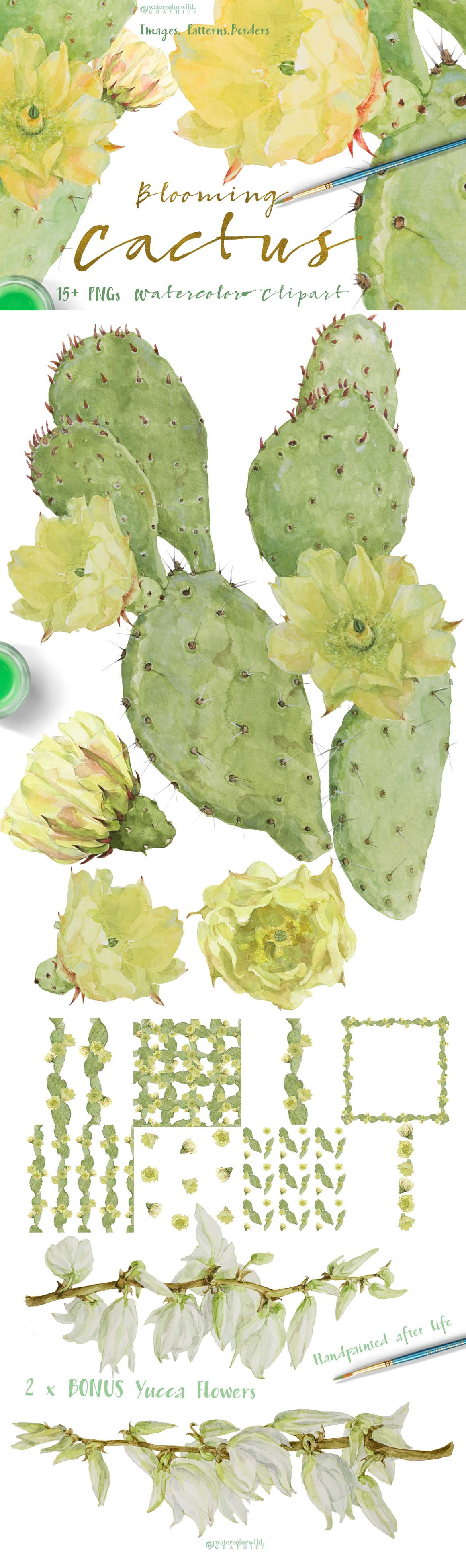 Blooming CACTUS-Clipart set, an Illustration by watercolorwild.graphics