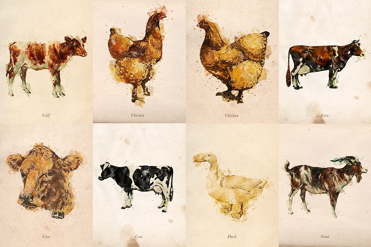 Farm Friends Watercolor Graphics, an Animal Illustration by Eclectic ...