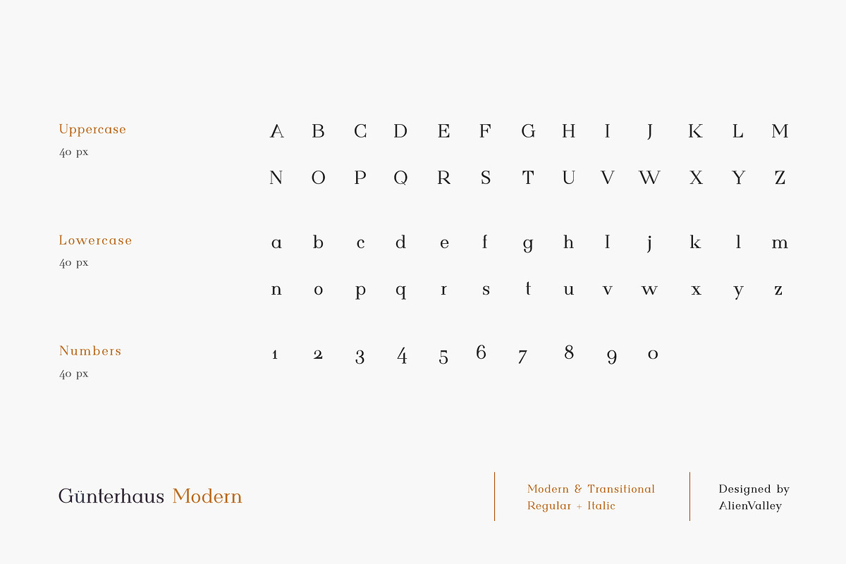 Gunterhaus - Modern & Transitional, a Serif Font by AlienValley