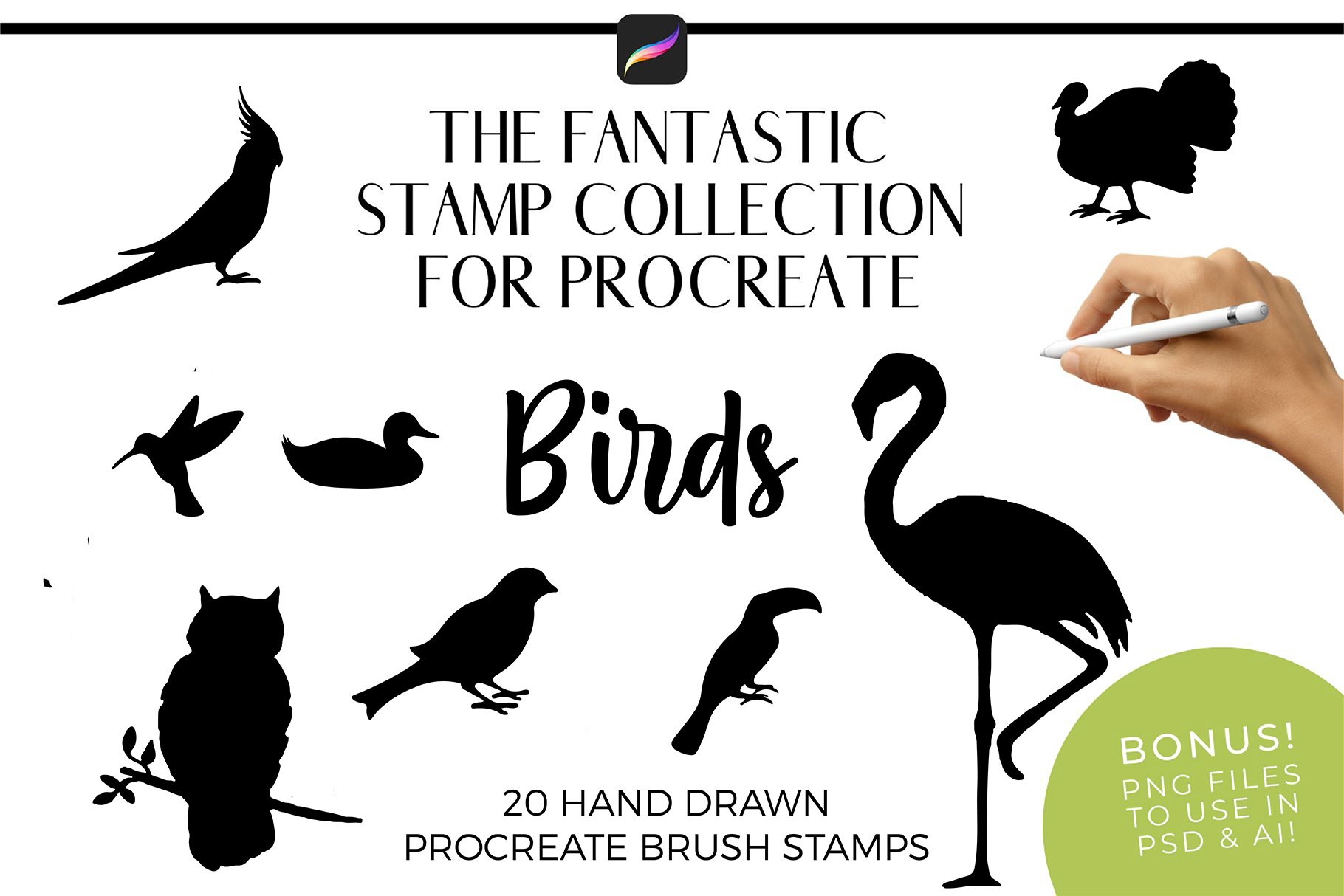 Procreate Brush Stamps - Birds, a Brush Add-On by Gabba Delgado ...