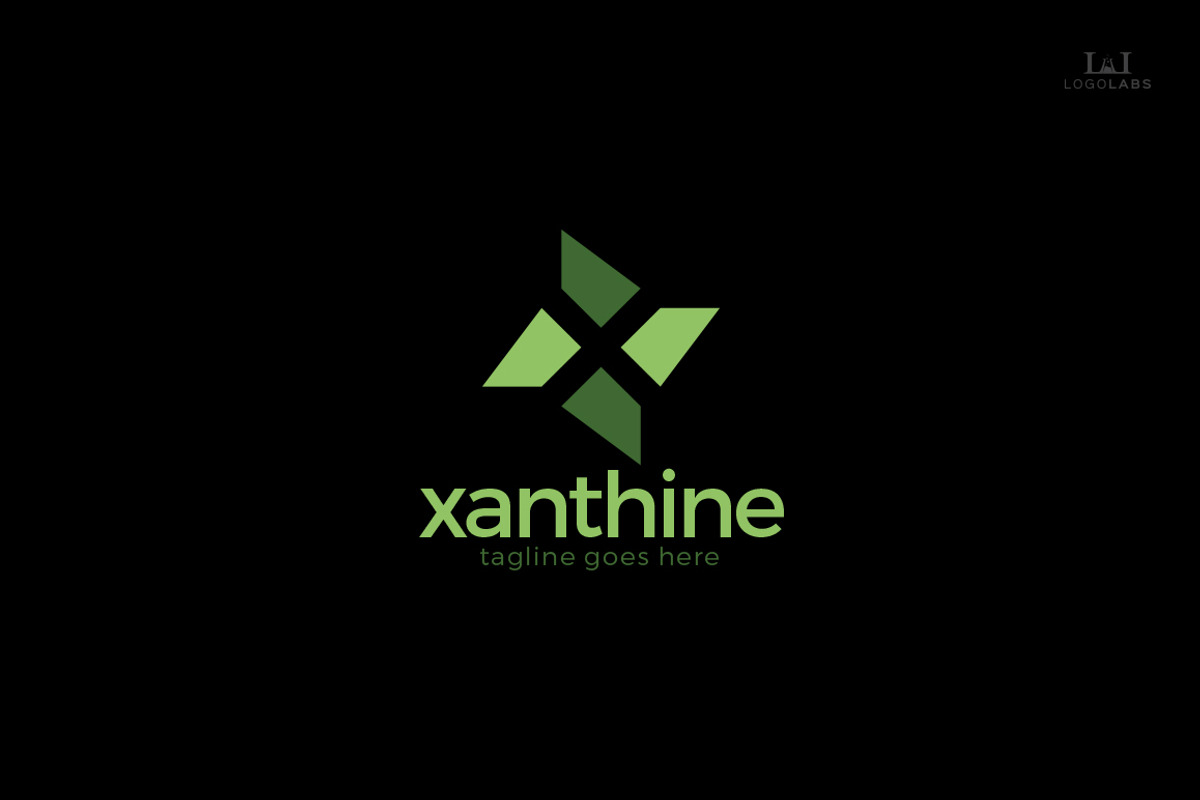 Xanthine -Letter X Logo, a Branding & Logo Template by LogoLabs