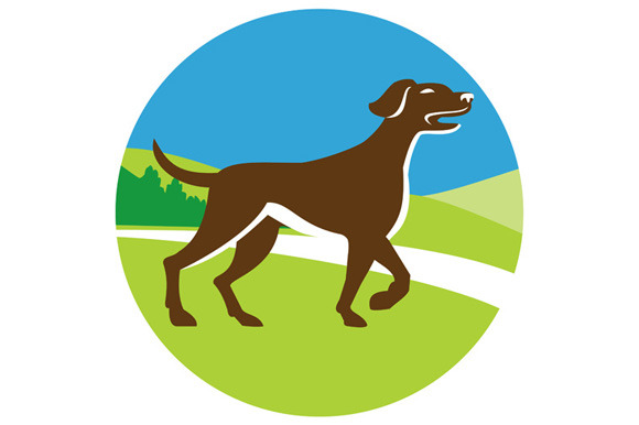 English Pointer Dog Pointing Up | Animal Illustrations ~ Creative Market