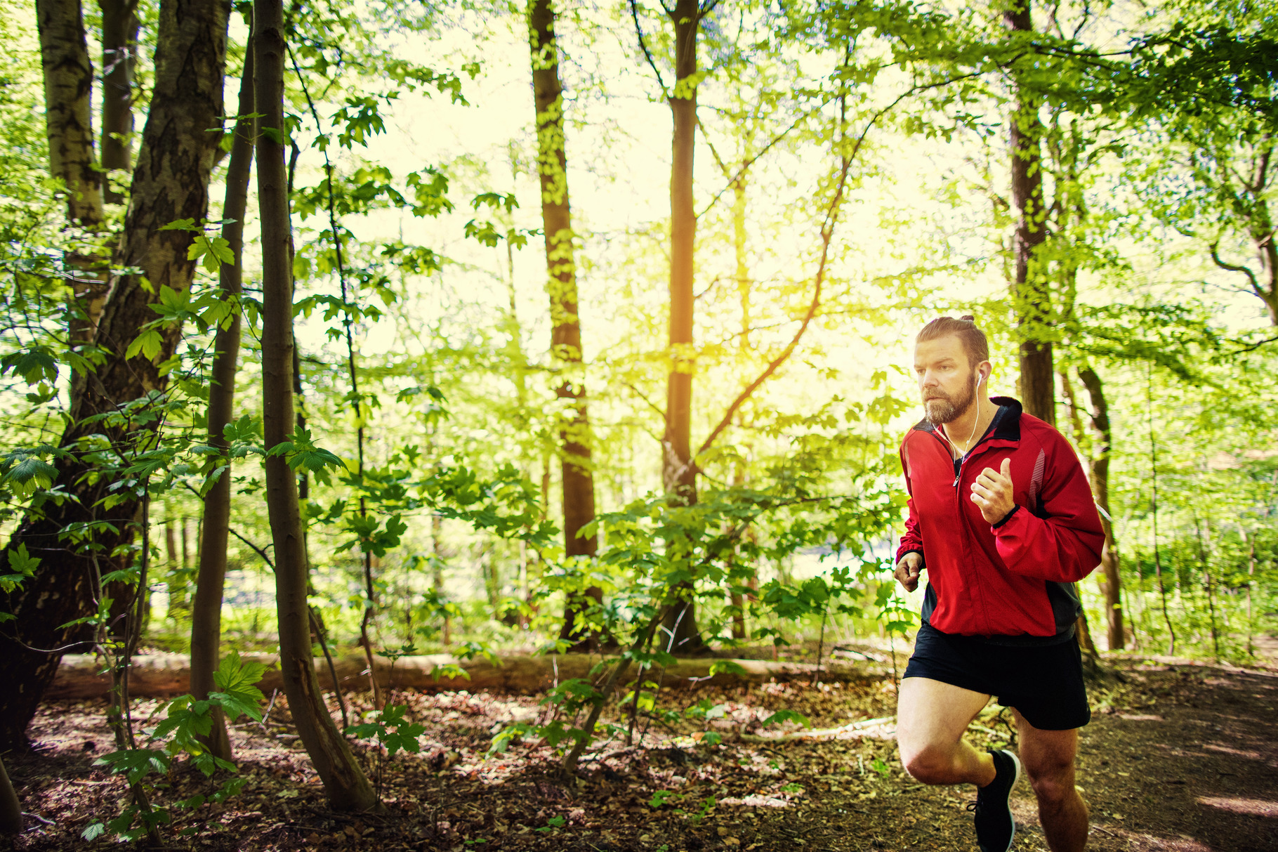 Fit young man running alone through a scenic forest, a Sports ...
