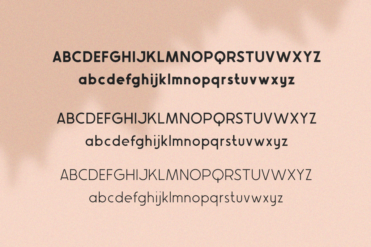 Avocado Sans Font Family, a Sans Serif Font by Salt & Pepper Designs ...