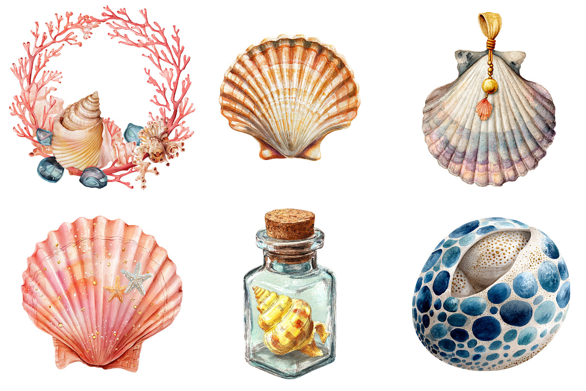 Coastal Seashell Clipart, an Illustration by Watercolor design