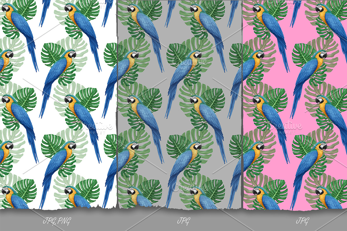 Parrot // Pattern Design, a Pattern Graphic by Victoria_Novak ...