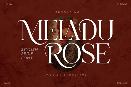 Wakile Stylish Serif Font, a Serif Font by Storytype Studio