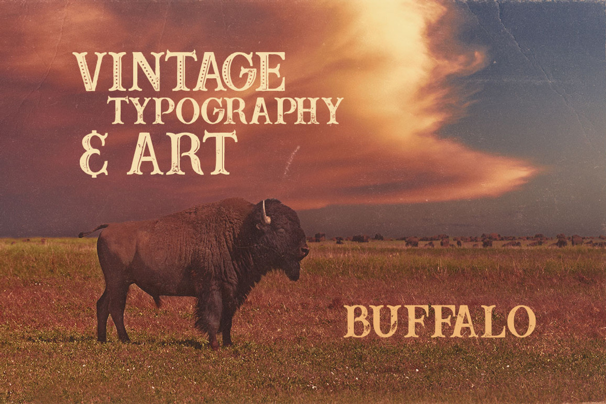 Buffalo Typeface, a Serif Font by Cruzine