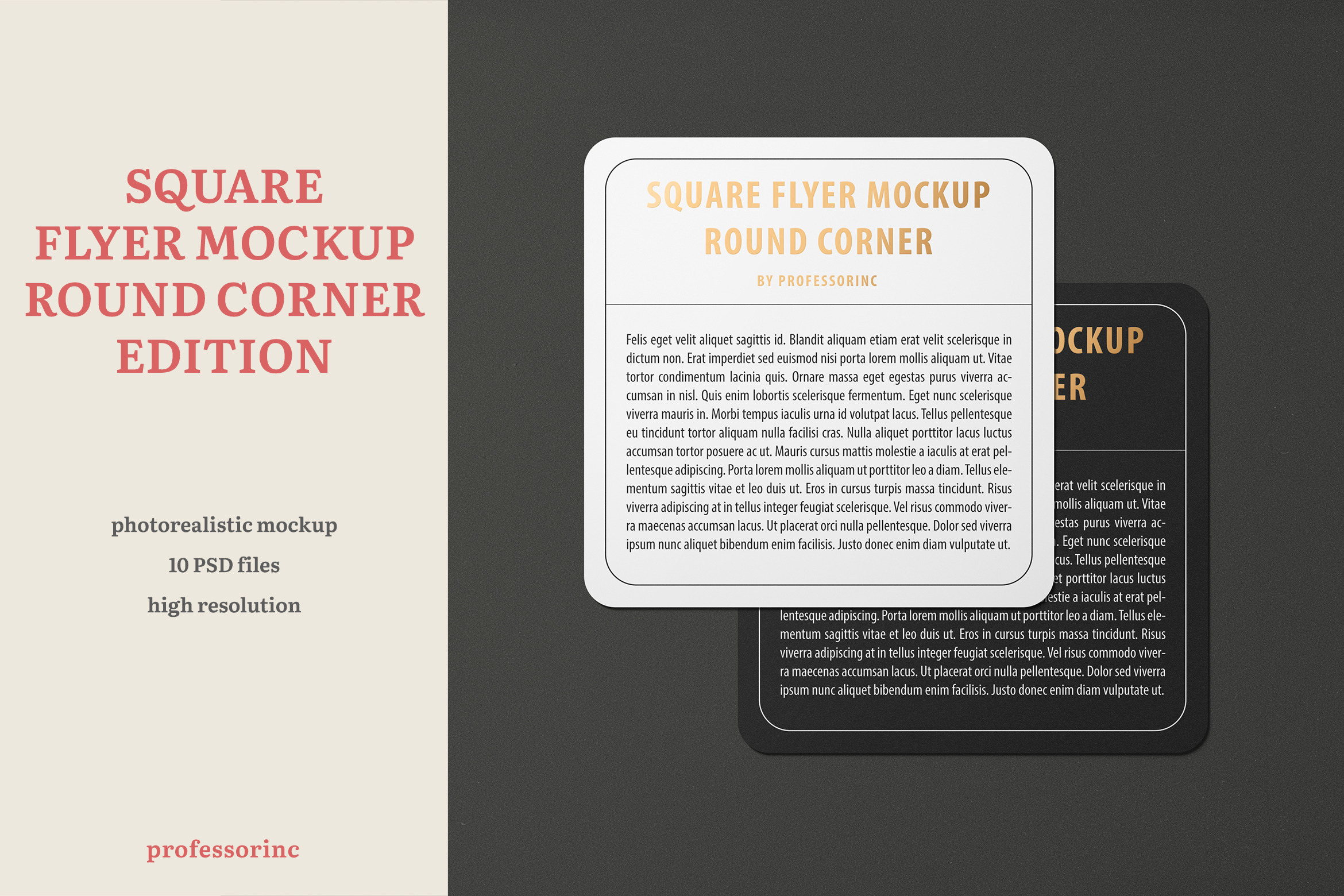 Square Round Corner Flyer Mockup, a Device Mockup by professorinc