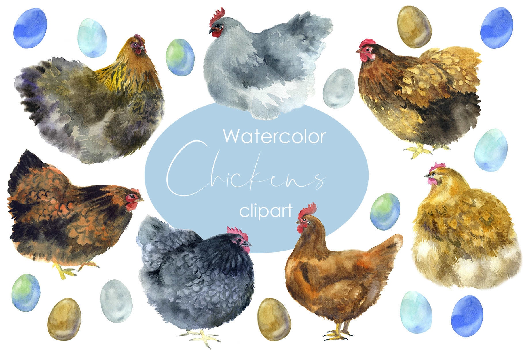 Watercolor clipart Chickens Egg png, an Animal Illustration by ...