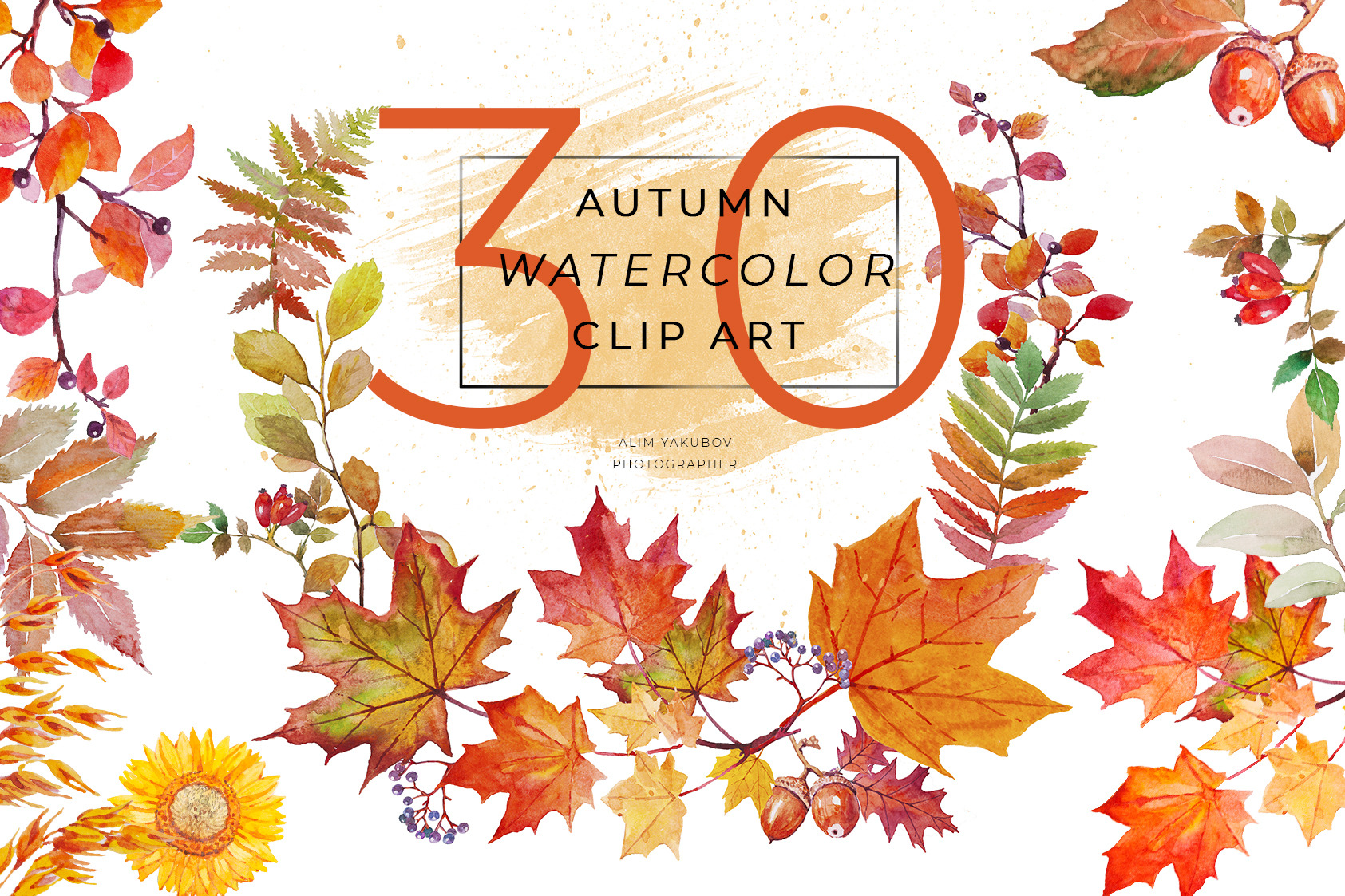 Autumn Watercolor Clip Art, a Decorative Illustration by Alim Yakubov