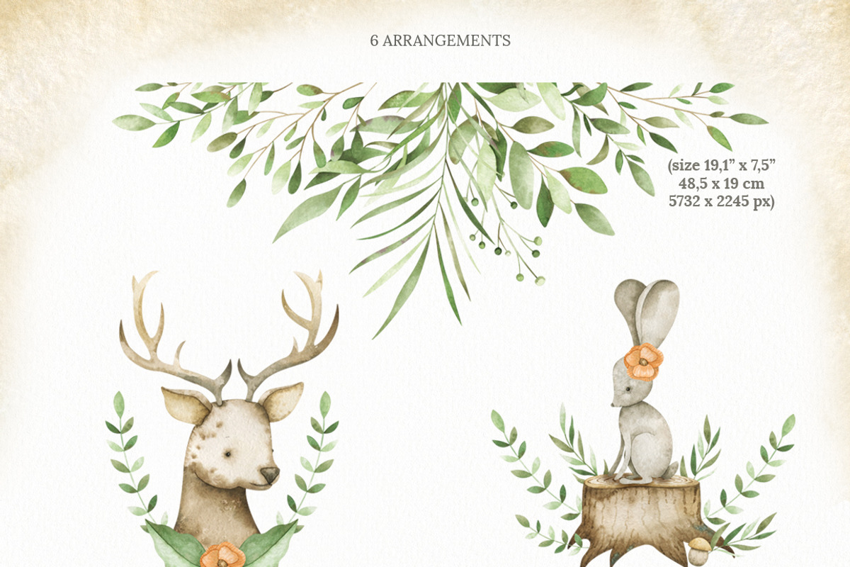 Watercolor woodland animals set