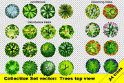 Set of top view trees vector and png | Graphic Objects ~ Creative Market
