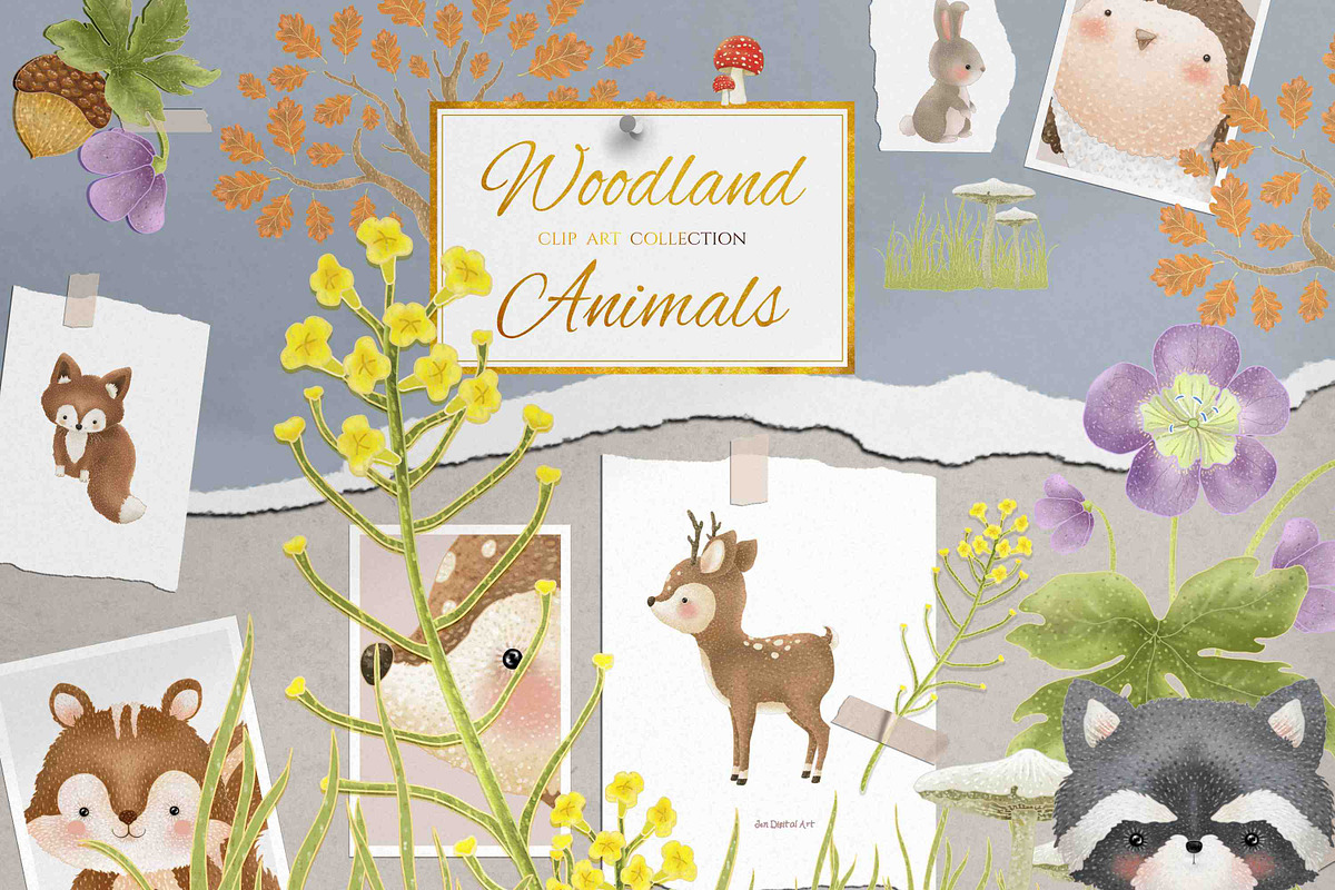 Woodland Animals Clip Art Collection, an Animal Illustration by Jen ...