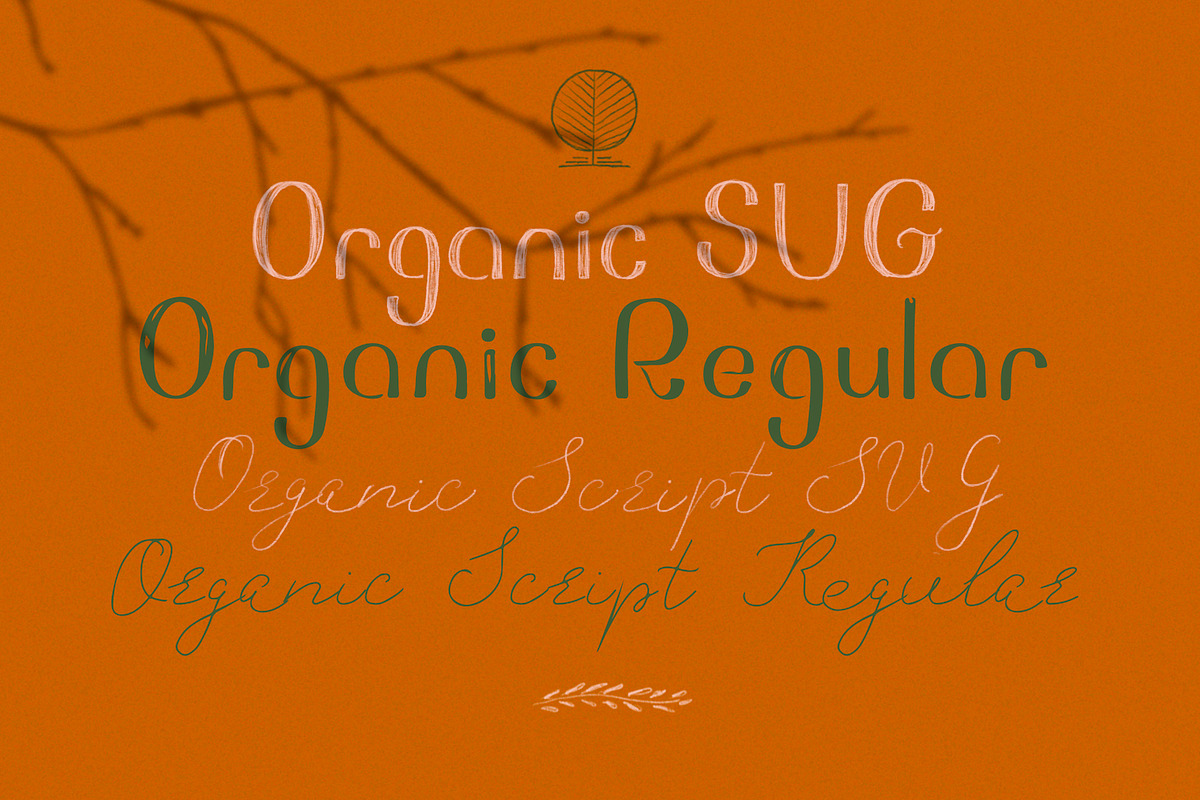 Organic font collection, a Sans Serif Font by Anna Zakharchenko
