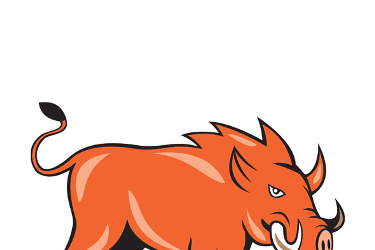 Razorback Head Charge Cartoon, an Animal Illustration by patrimonio ...