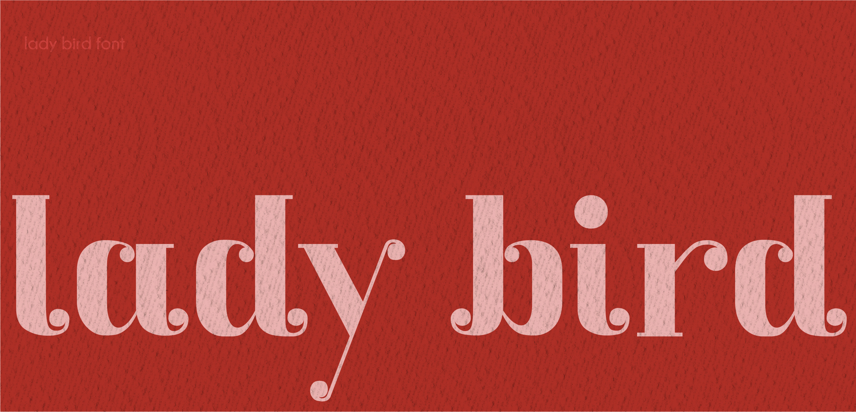 Lady Bird Font, a Font by nouranabed
