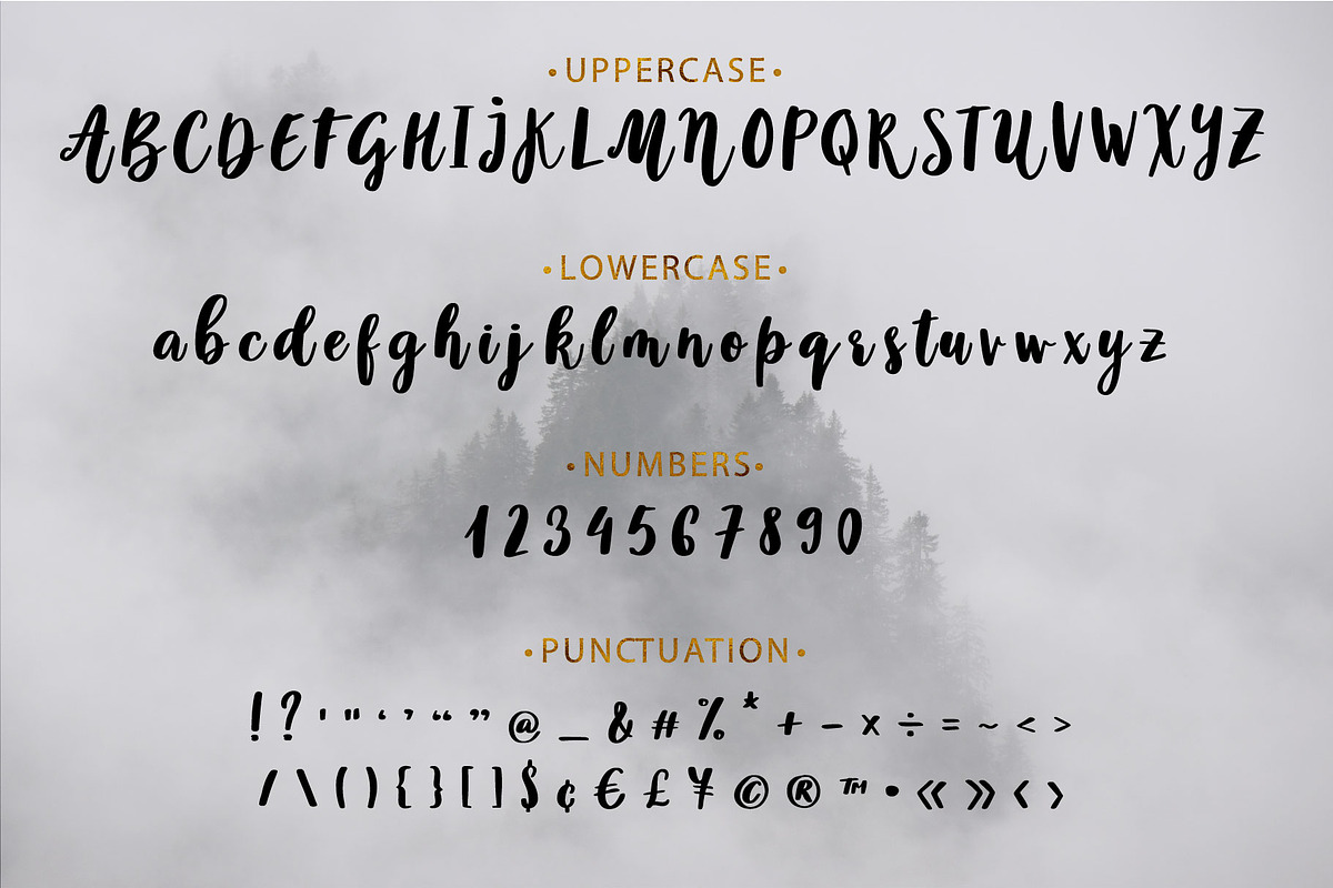 Vision bold script font, a Script Font by doffdog