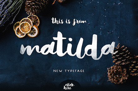 Karla Script, a Script Font by Noe Araujo