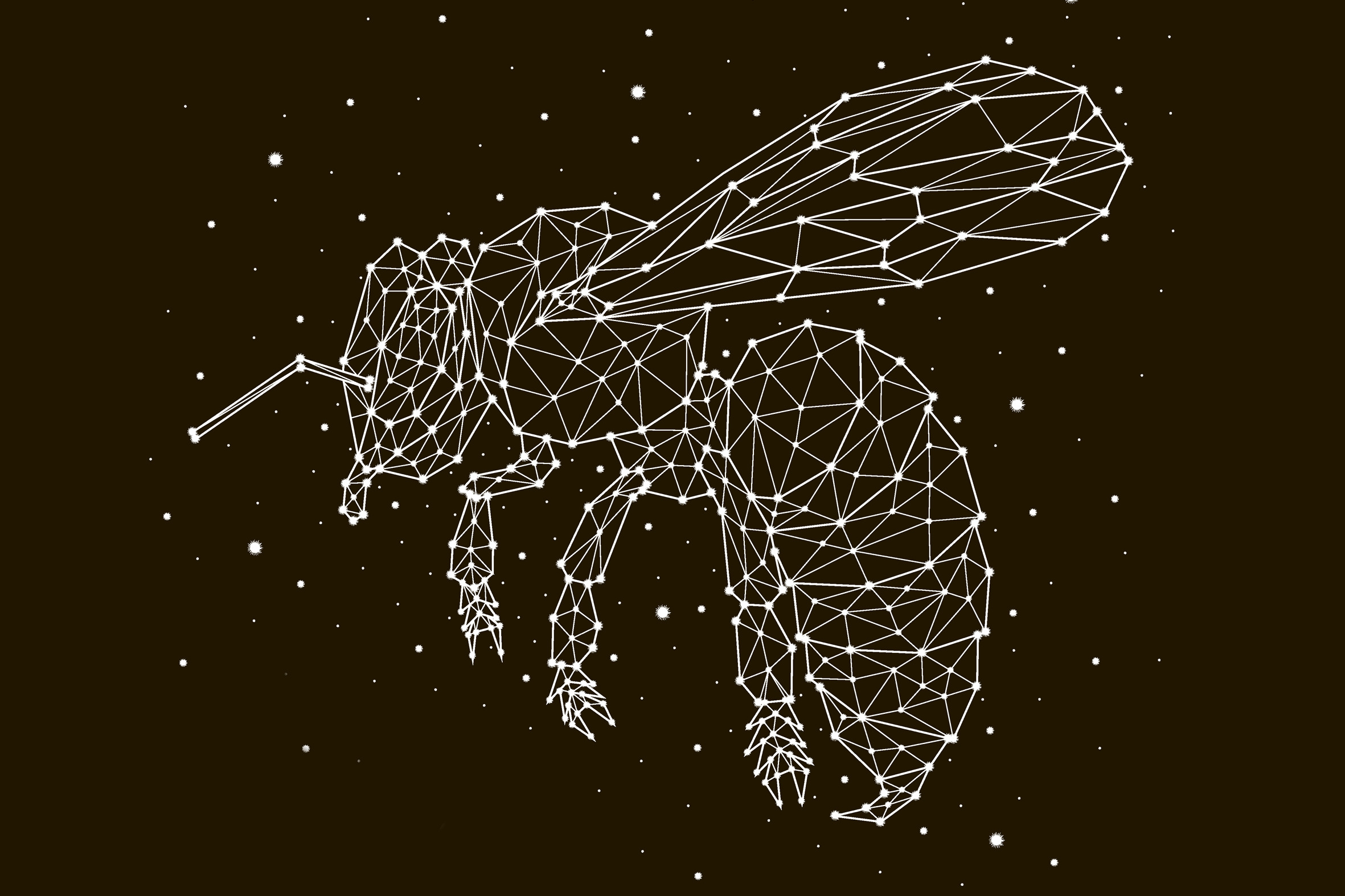 constellation bee star, an Animal Illustration by Chikovnaya