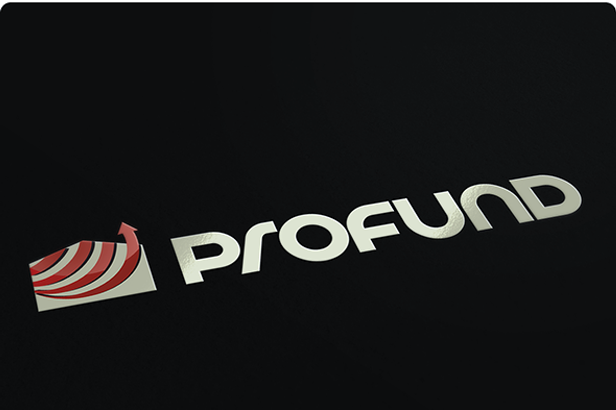 ProFund Logo Design, a Branding & Logo Template by free2fonts