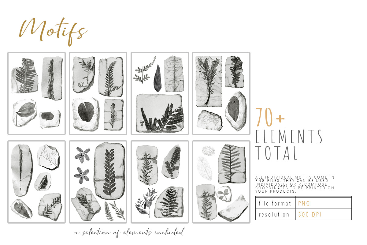 Illustrated Fossils + Patterns