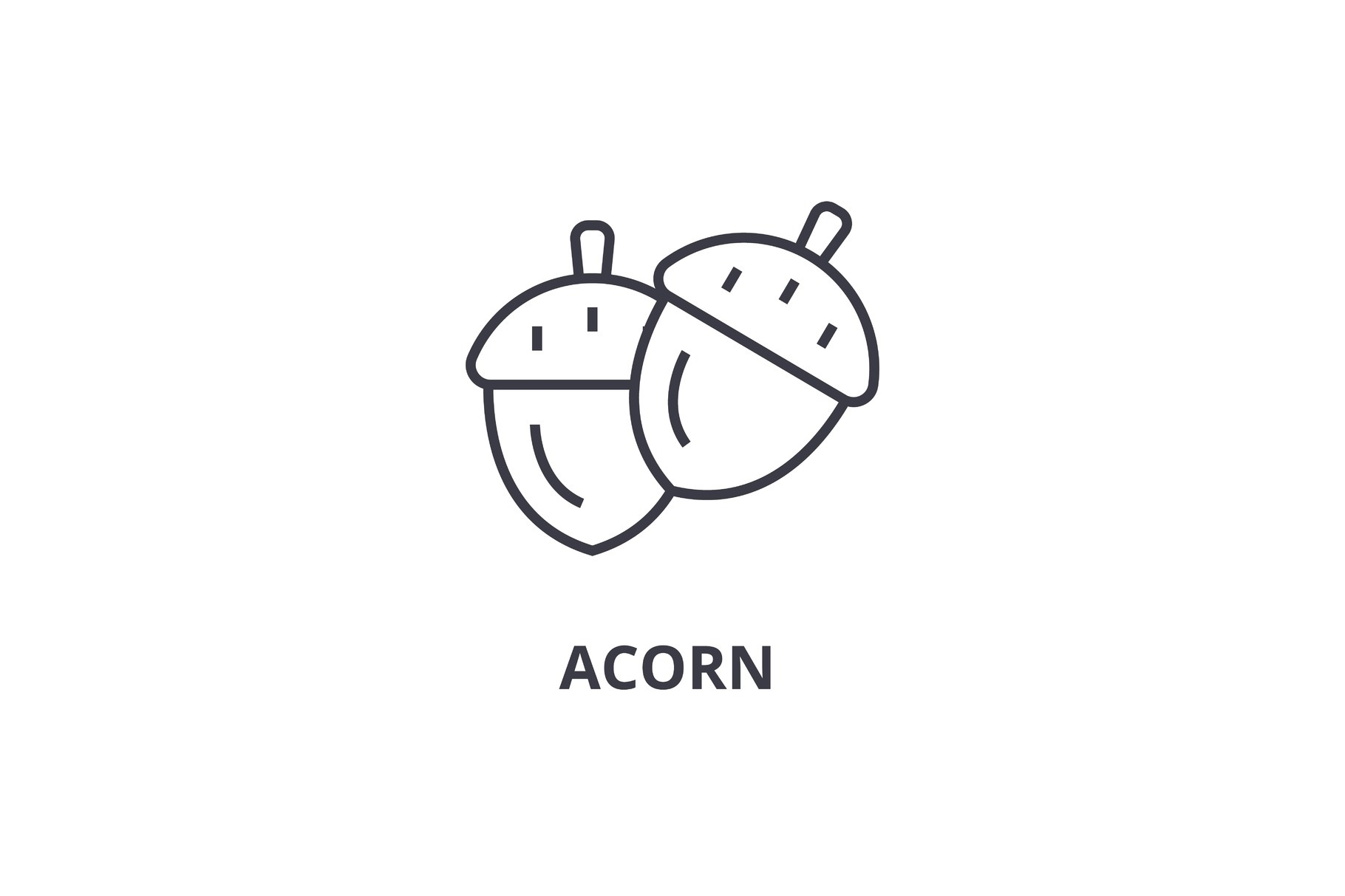 acorn line icon, outline sign, linear symbol, vector, flat illustration ...