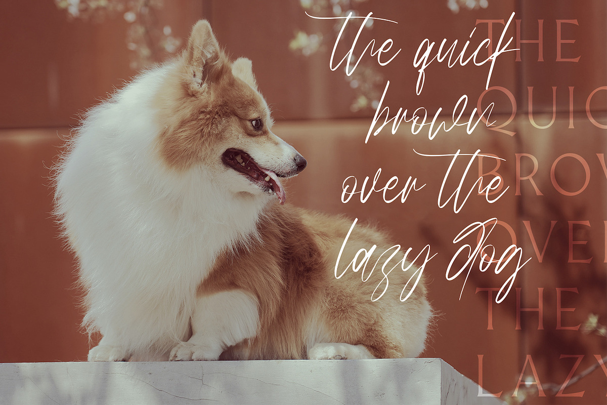 Miny Fellas - Handwritten Font, a Script Font by StringLabs