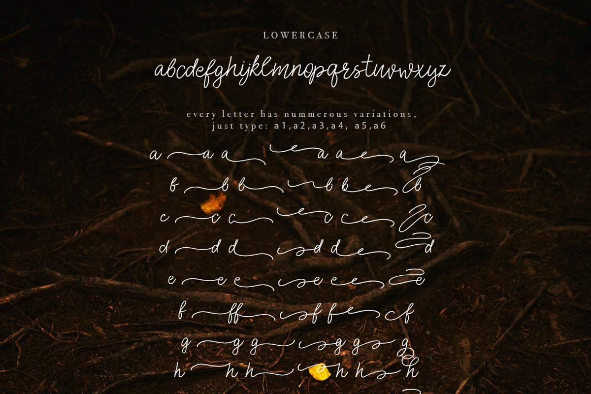 Aisling Font., a Script Font by Red Ink
