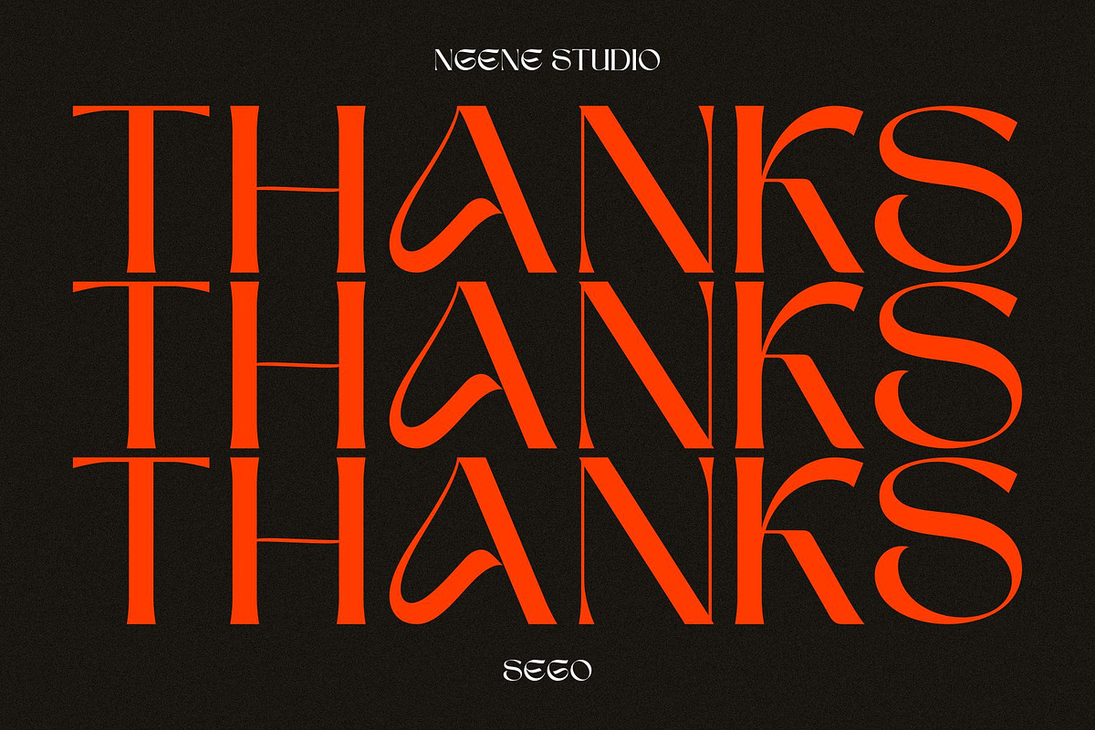 Sego Serif Font, a Serif Font by ngene