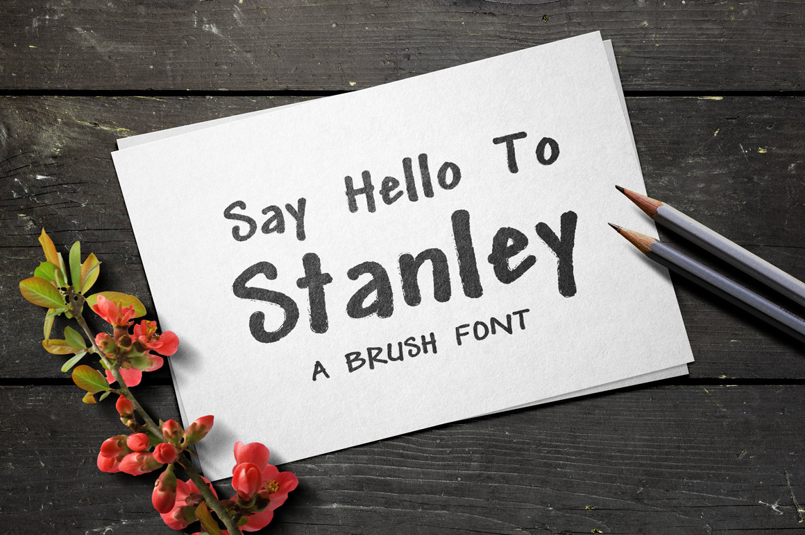 Stanley Brush Font, a Script Font by Vecticons