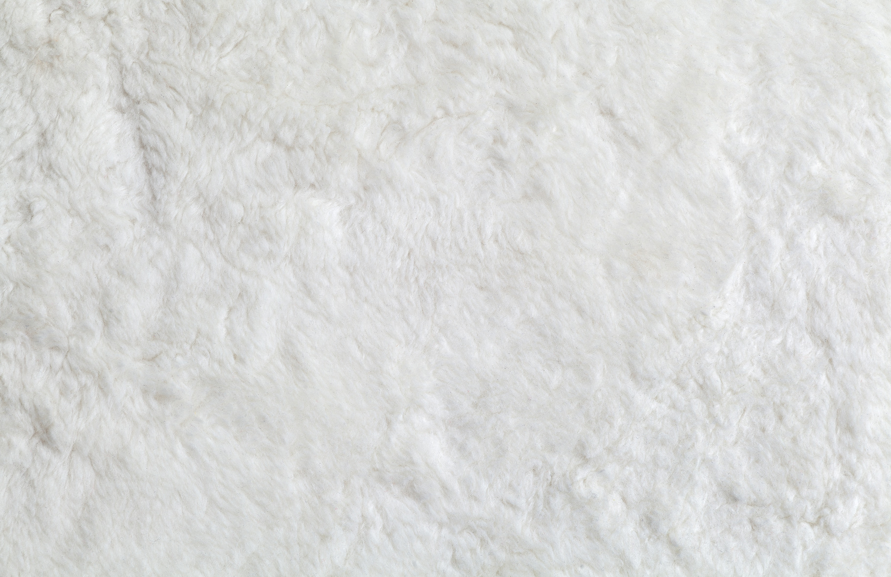 white wool top view texture, an Abstract Photo by AlexZaitsev