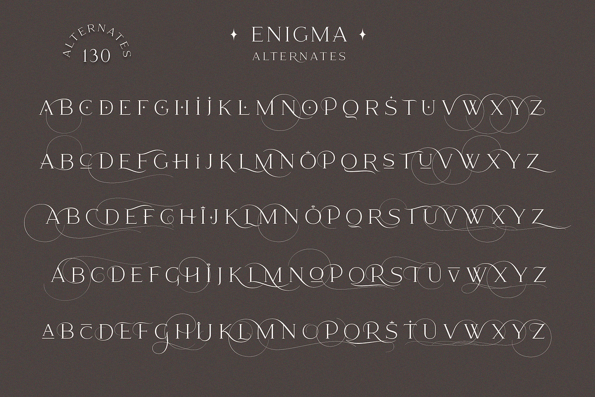 Enigma, a Serif Font by Larin Type Co.